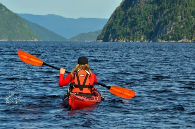 15 min Tadoussac: Guided Sea Kayaking Adventure - An Overview of the Experience