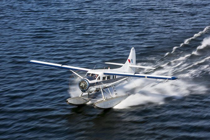 15-Minute Crater Lakes Flight by Floatplane from Rotorua - What Makes the Flight Special?
