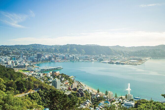 15-Minute Wellington Harbour Helicopter Flight - What You Can Expect During the Flight