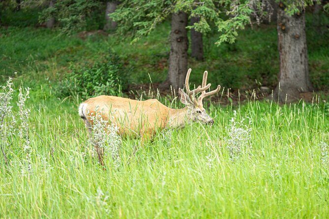 16 Days Premium Tour in Western Canada and Vancouver Island - Value and Cost Considerations