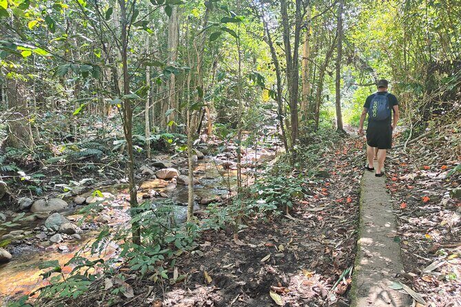 16 Lines Zipline, Cave, Hiking & Biausevu Waterfall Combo Tour - Final Thoughts: Who Should Consider This Tour?