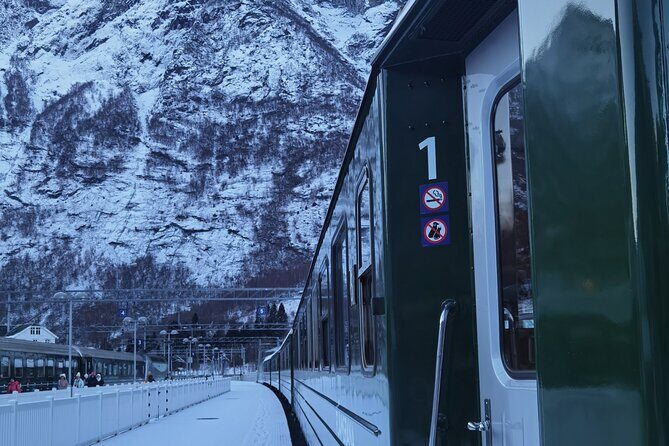 1Day Tour from Bergen to Flåm, Nærøyfjord Cruise & Stegastein - Key Points