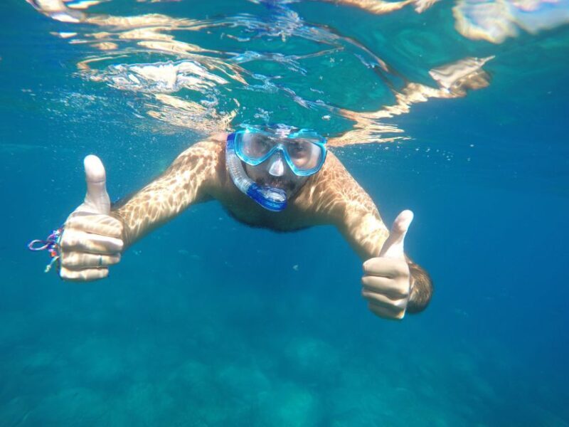 1h Boat Trip + 2h Dockside Wine & Food Tasting - Key Points