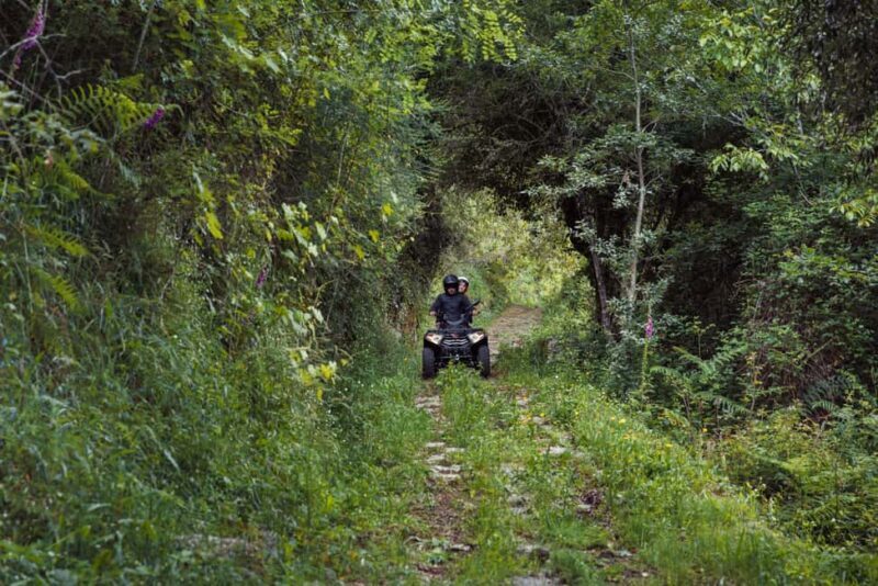 1h Quad Tour  Arcos de Valdevez  Peneda Gerês - Who Should Consider This Tour?