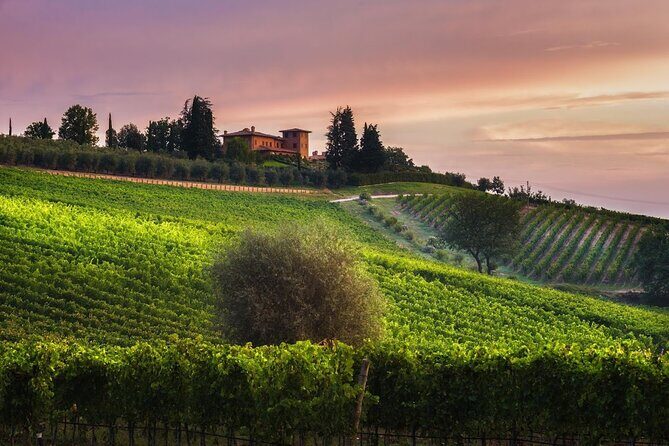 1h30m Wine Tasting and Visit to Val D'Orcia - The Itinerary in Detail