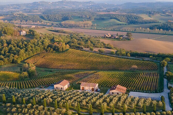 1h30m Wine Tasting and Visit to Val D'Orcia - The Sum Up