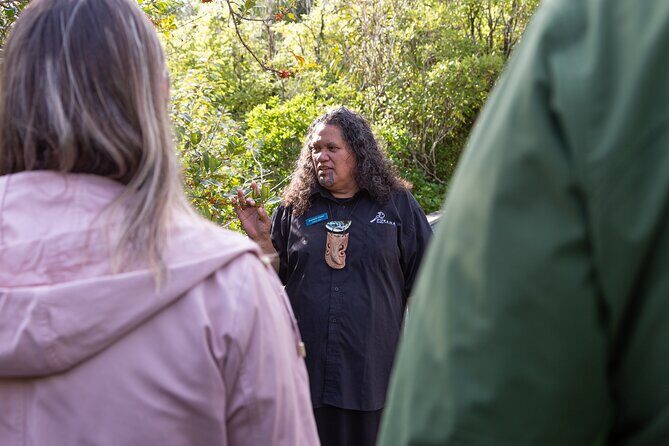 1Hour Guided Tour of Pkaha National Wildlife Centre - In-Depth Look at the Experience