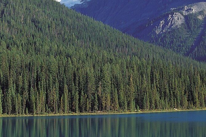 2-4 Days Abraham Grassi Lake Louise Gondola Johnston Canyon - The Sum Up