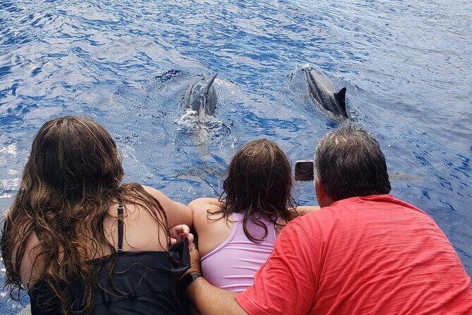 2.5 Hour Morning Snorkel - What to Expect from the 2.5 Hour Morning Snorkel