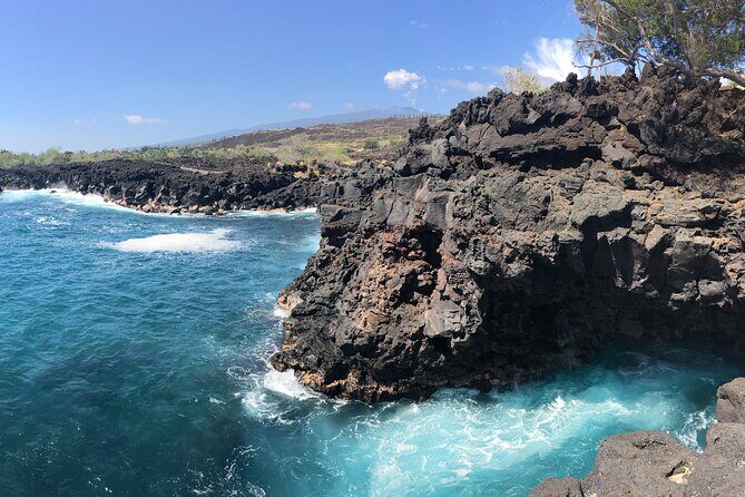2.5 Hour Morning Snorkel - The Experience: What Youll Encounter