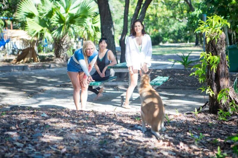 2.5-Hour Ultimate Jet Ski Safari to North Stradbroke Island - FAQ