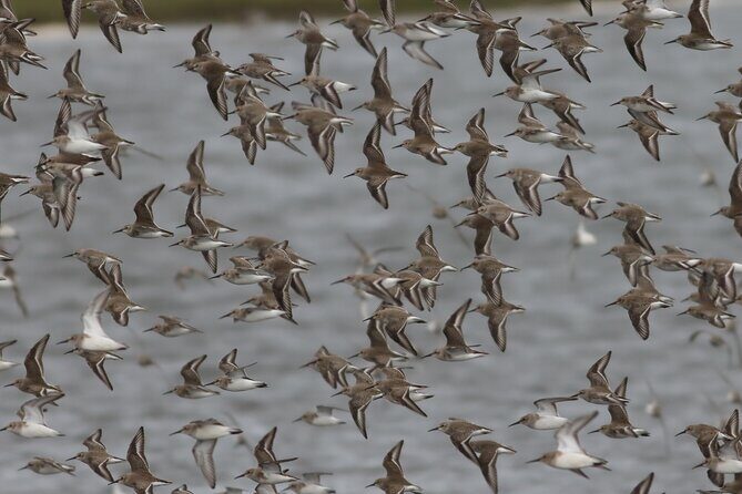 2.5 Hours SightSeeing Tour in Beaulieu River - Exploring the 2.5 Hours Sightseeing Tour in Beaulieu River