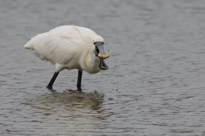 2.5 Hours SightSeeing Tour in Beaulieu River - An In-Depth Look at the Beaulieu River Tour