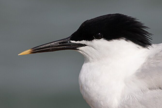2.5 Hours SightSeeing Tour in Beaulieu River - Final Thoughts: Is This the Right Experience for You?