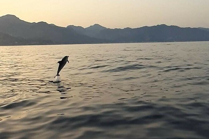 2.5 Hours Sunset Boat Tour in Search of Dolphins - Discovering Sicily’s Coastal Charm