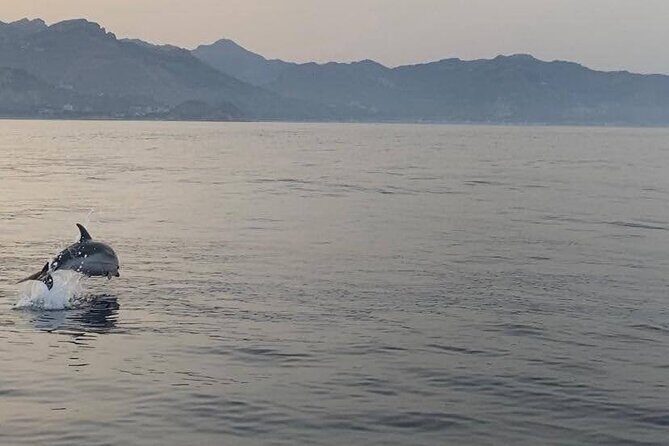 2.5 Hours Sunset Boat Tour in Search of Dolphins - Sunset & Mount Etna View