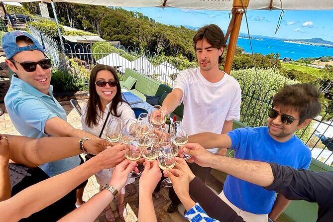 2.5 Hours Wine Tour in Waiheke Island for Cruise Ship Travelers - Who Will Enjoy This Tour?