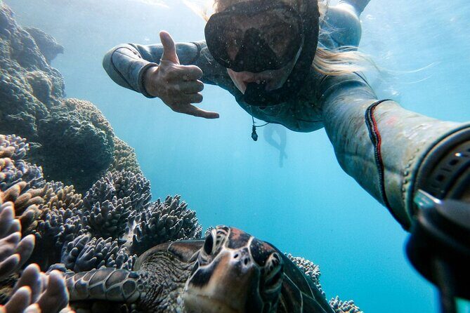 2 Day & 2 Night Whitsunday Islands Sailing Adventure on Condor - Key Points