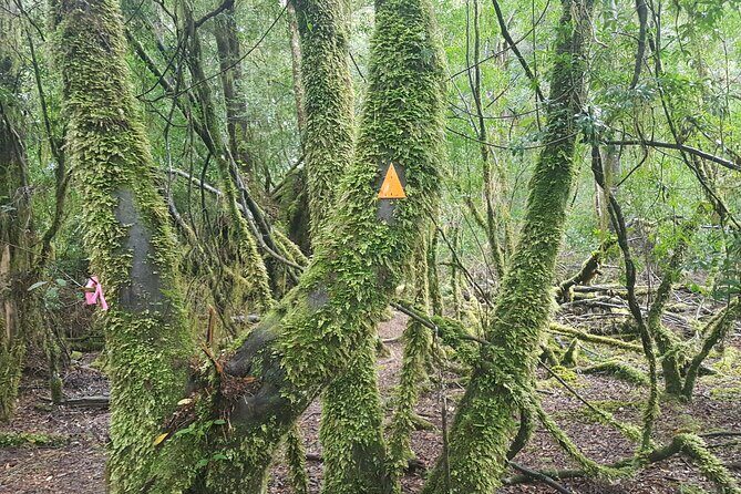 2 Day Cradle Mountain Tour / Hobart return / Inc. Accommodation - The Sum Up: Who Is This Tour For?