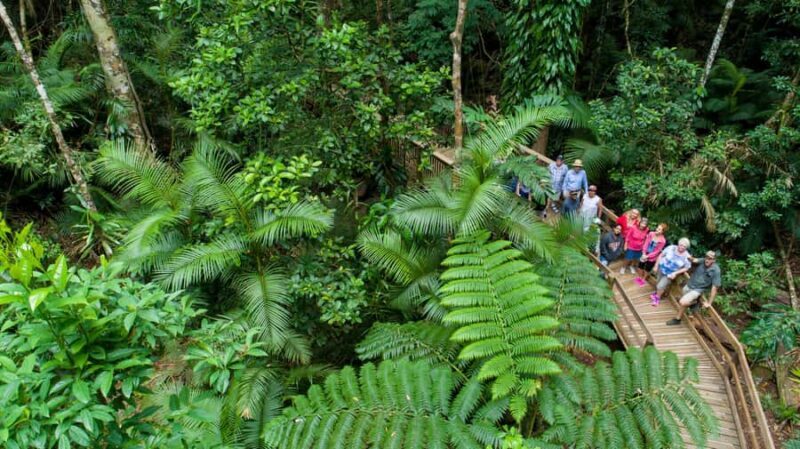2-Day Daintree & Outback Tour from Cairns & Port Douglas - The Practicalities: What You Need to Know