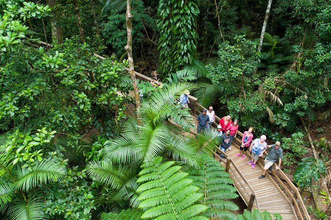 2 Day Daintree Rainforest and Chillagoe Outback Tour - Key Points