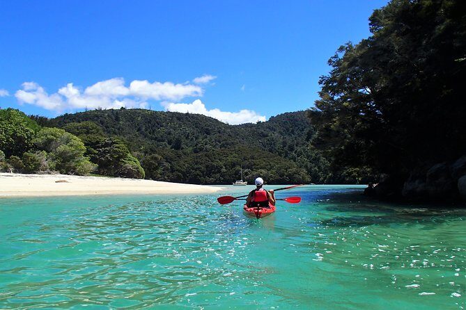 2 Day Freedom Kayak - Kayak Rental - New Zealand - Who Is This Tour Best For?