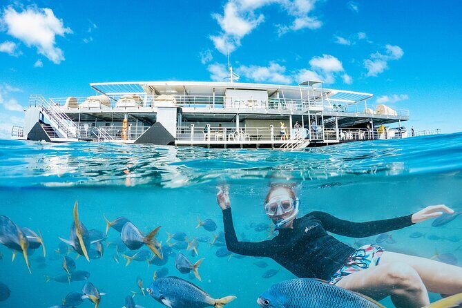 2-Day Great Barrier Reef: Reefsleep Experience - Key Points