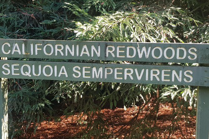 2 Day Great Ocean Road Tour and Platypus paddle - Transportation and Practical Details