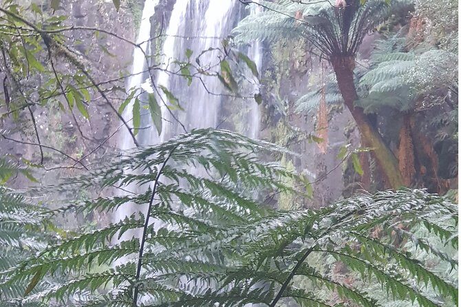 2 Day Great Ocean Road Tour and Platypus paddle - Authentic Encounters and Extra Details