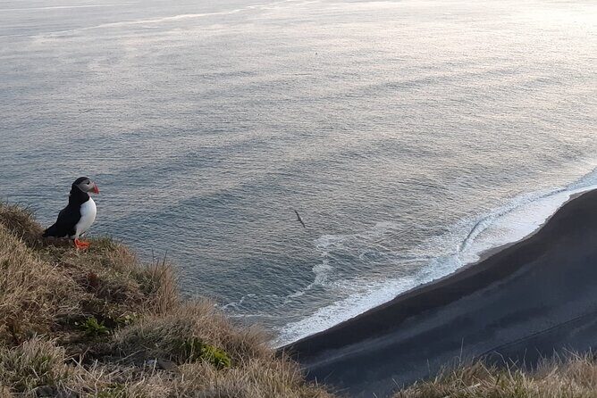 2-Day Highlights of Iceland | Land of Ice & Fire-Small Group Tour - Final Thoughts: Who Will Love This Tour?