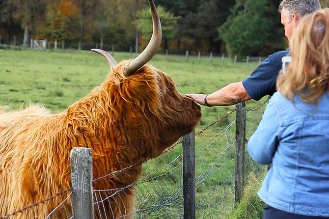 2-Day Jacobite Experience including the Hogwarts Express from Edinburgh - FAQ