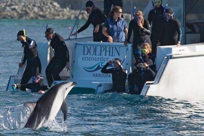 2 Day Kaikoura Whale and Dolphin Tour from Christchurch - Key Points