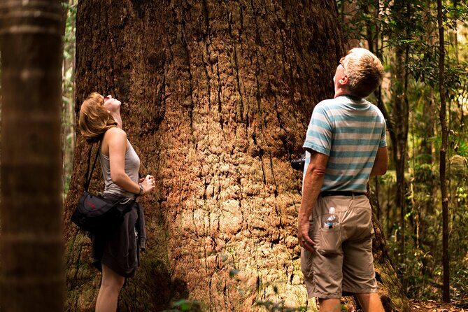 2 Day Kgari Fraser Island Small Group Camping Tour - The Sum Up