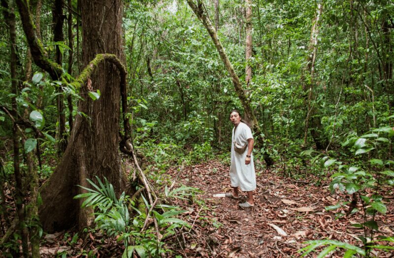 2 Day Lacandon Jungle, the Lost City and Bonampak Ruins - Day 1: Ancient Ruins and Jungle Trekking