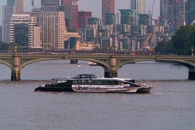 2 Day London Hop-On Hop-Off River Thames Sightseeing Pass - Who should consider this experience?