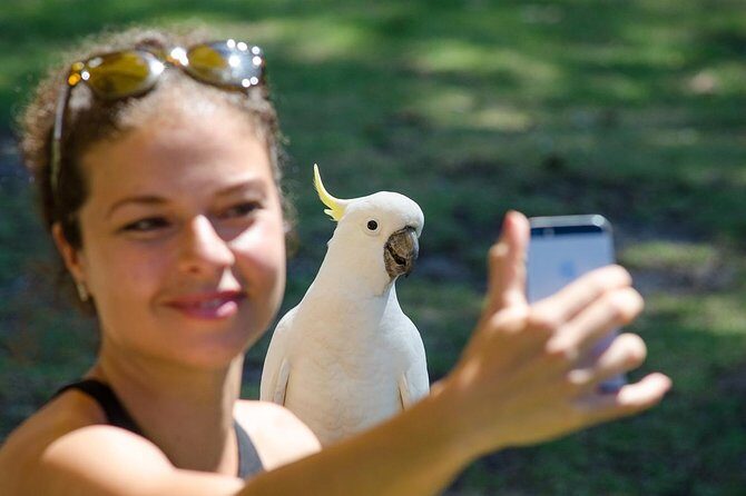 2-Day Melbourne to Adelaide Tour: Great Ocean Road and Grampians One Way Trip - FAQ