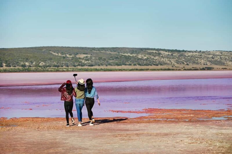 2 Day Pink Lake the Pinnacles & Sand Dunes Coral Coast Tour - Key Points