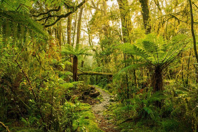 2-day Private Overnight Hurunui River Hot Springs Hike or Bike - Day 1: Trekking or Biking into the Wilderness