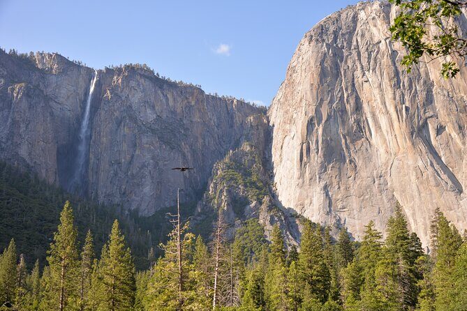 2 Day Private Tour to Yosemite National Park - Final Thoughts