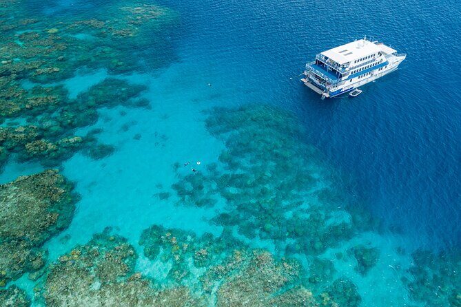 2-Day Snorkelling Experience - Great Barrier Reef Twin Share - The Highlights: What Makes This Tour Special