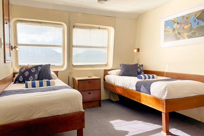 2-Day Snorkelling Experience - Great Barrier Reef Twin Share - Who Should Consider This Tour?