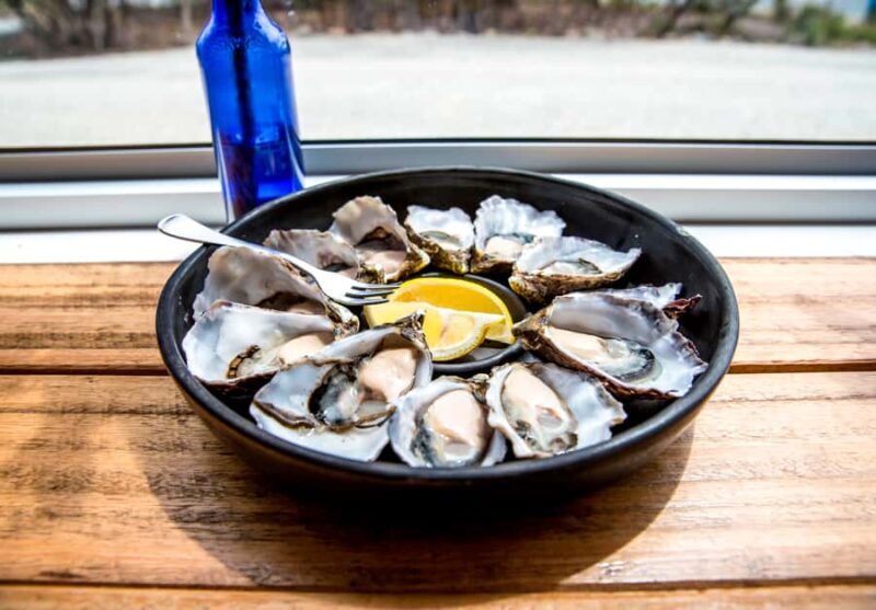 2 Day Tasmanian Highlights Tour - Bruny Island & Port Arthur - The Sum Up: Is This the Tour for You?