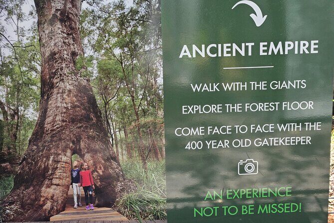 2 Day Tour Busselton Jetty, Ngilgi Cave to Valley of the Giants - Introduction