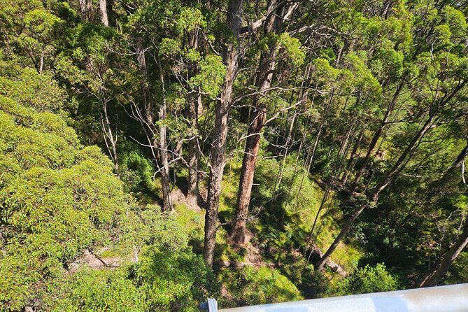 2 Day Tour Busselton Jetty, Ngilgi Cave to Valley of the Giants - Discovering Ngilgi Cave and Aboriginal Legends