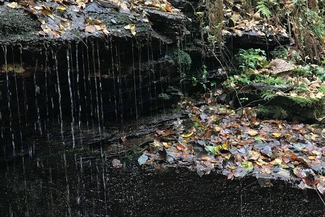 2-Day Tour of King Arthur's Cornwall in Tintagel, Boscastle and Dartmoor from Glastonbury - Practical Details