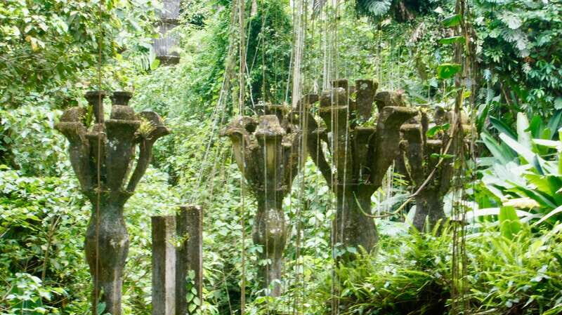 2 day tour Puente de Dios and Xilitla from San Luis Potosí - Who Is This Tour Best For?