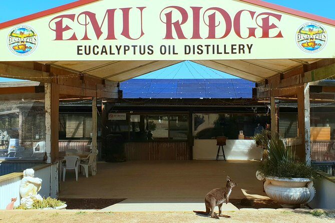 2 day Ultimate Kangaroo Island with return ferry - Who Should Book This Tour?