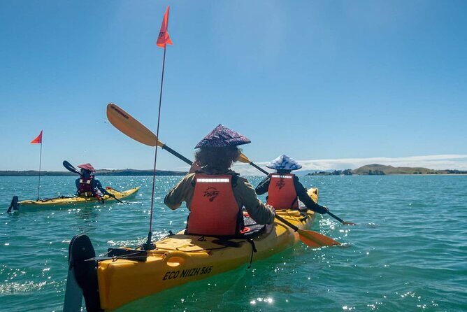 2-Day Waiheke Island Sea Kayak Tour - Exploring the Itinerary: What to Expect Each Day