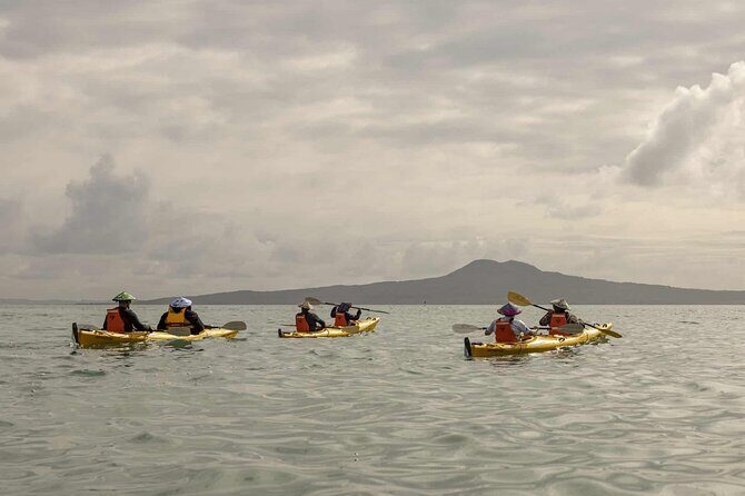 2-Day Waiheke Island Sea Kayak Tour - Practical Details: What Travelers Need to Know