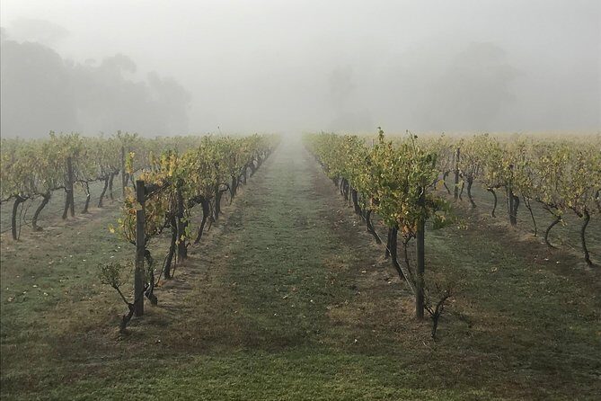 2-Day Yarra Valley Wine Tour with Luxury Vineyard Resort Stay - Final Thoughts: Is This Tour Worth It?